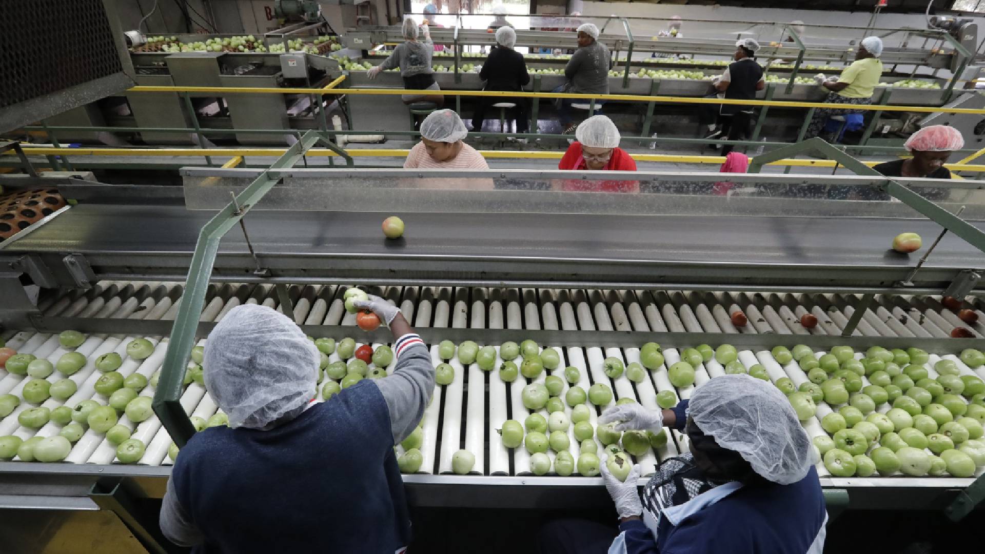 ¿Qué es E‑Verify y por qué es importante? – Conecta Arizona